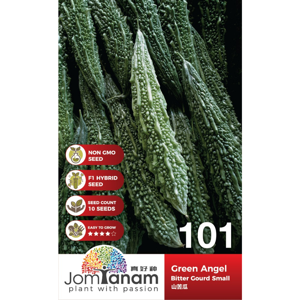 101 - JOM TANAM Bitter Gourd Seed Benih Pelia 苦瓜种子 Green Angel 101(10 ...