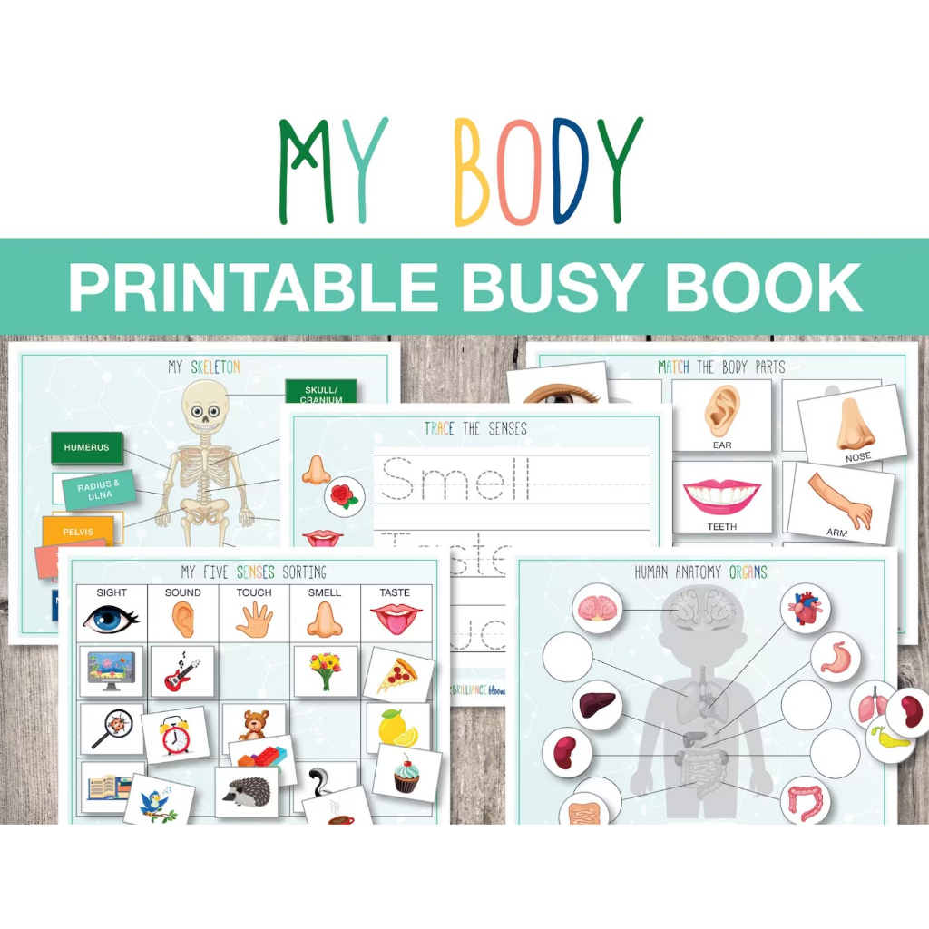 PDF] My Body Five Senses Organs Busy Book Quiet Book Kids Activity ...