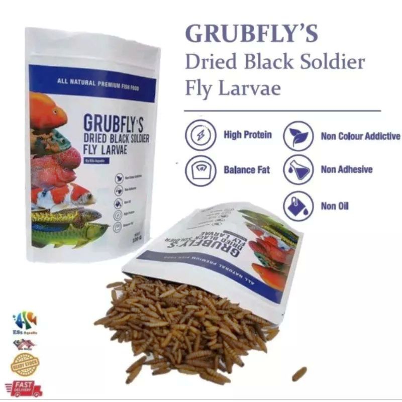 GrubFly's Dried Black Soldier Fly Larvae (BSFL) Aquarium Pet Food Lalat ...