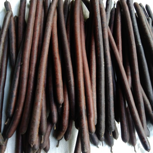 batang asam trengguli buah asem acid seed/pod/pulp (cassia fistula ...