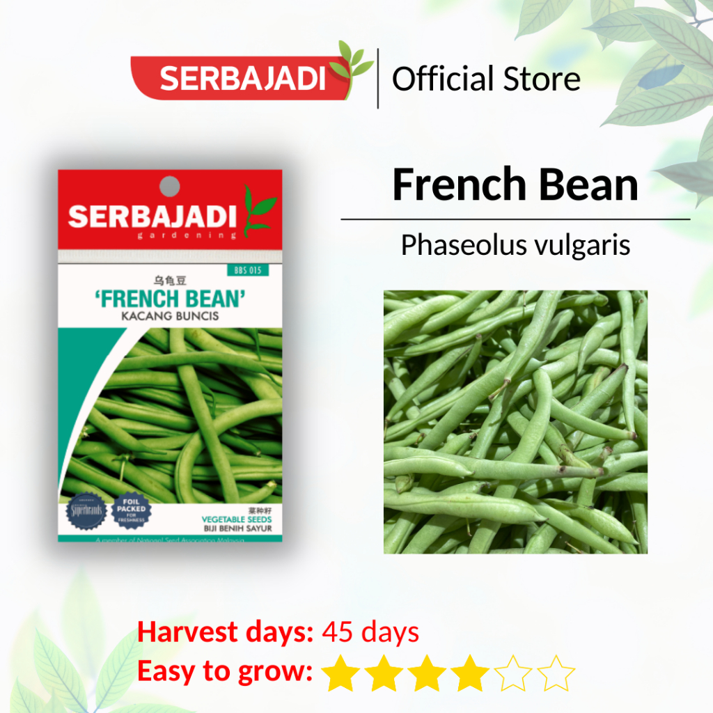 Serbajadi Vegetable Seed French Bean/ Biji Benih Sayur Kacang Buncis ...
