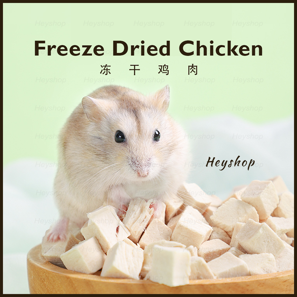 Freeze Dried Chicken Cube 30g - Hamster Snack Sugar Glider Cat Dog ...