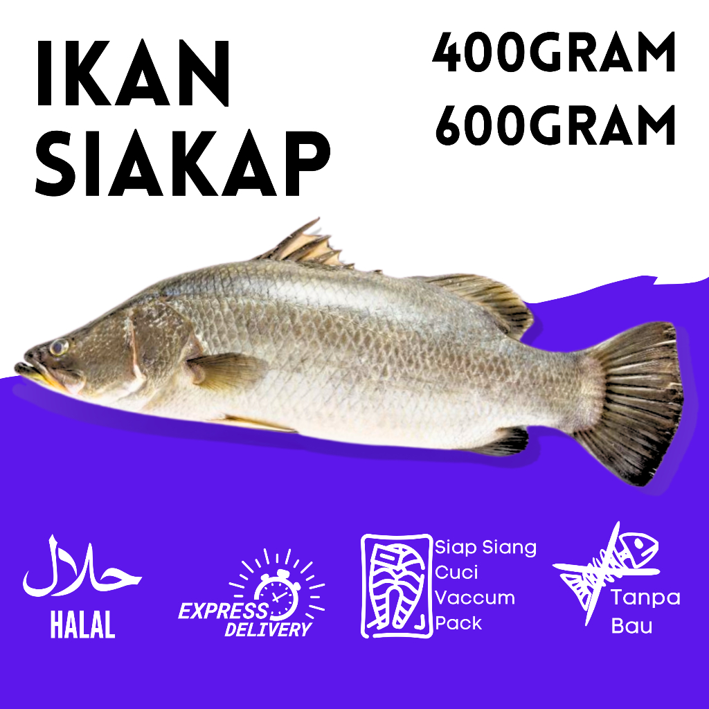 [400g~600g] Ikan Siakap Ikan Barramundi Seabass Fish 石甲鱼 金目鲈 | ikan ...