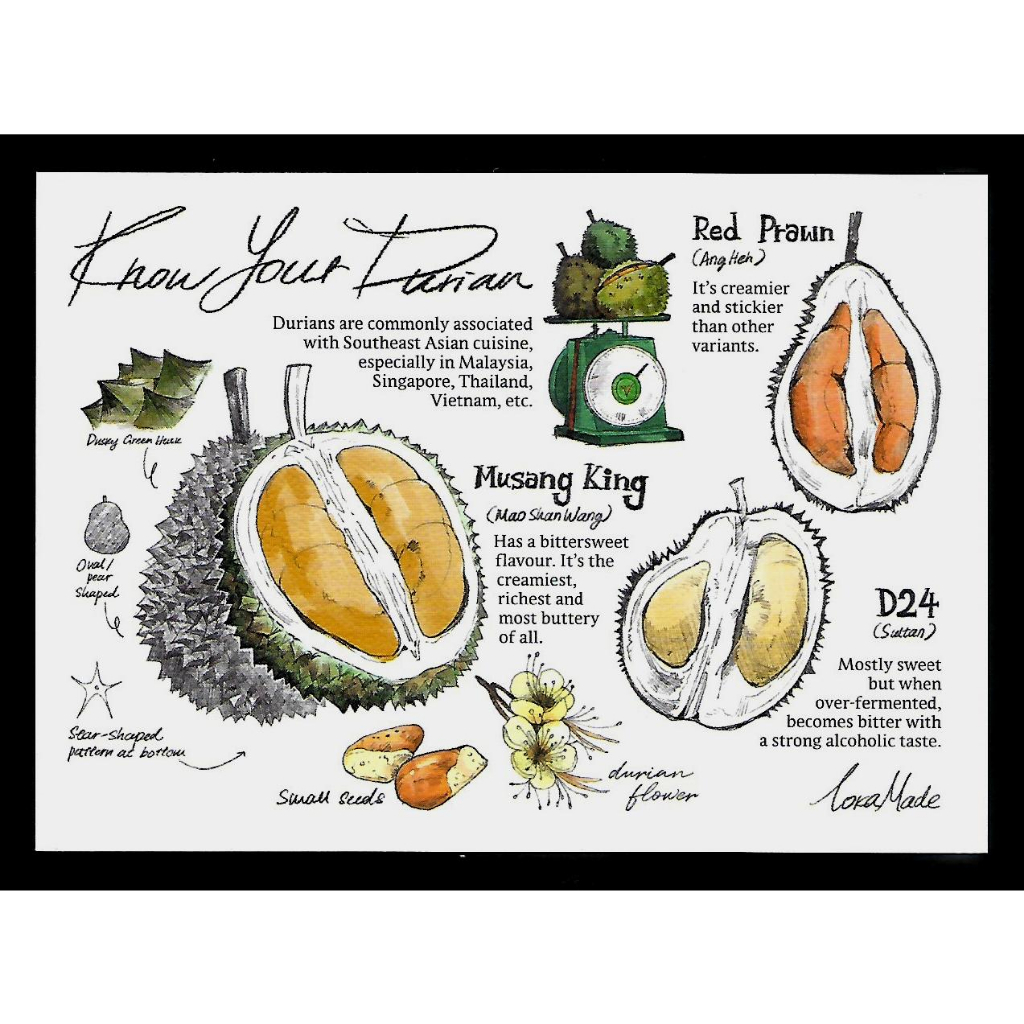 Malaysia Postcard - LOKAPEDIA Know Your Durian | Shopee Malaysia