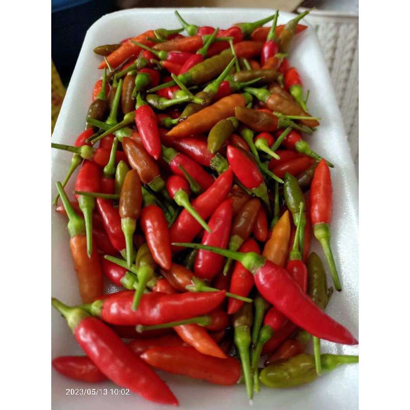 Lada Padi Sabah/ soroi | Shopee Malaysia