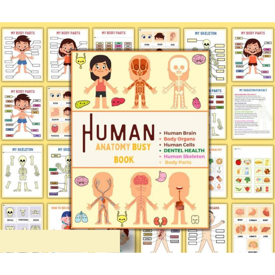 A348 – [PDF] Human Anatomy Busy Book 6 sets 40 pages | Shopee Malaysia