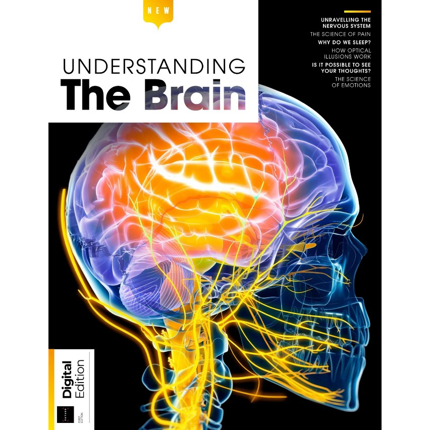 Understanding The Brain – 1st Edition 2023 Bookazine | Shopee Malaysia