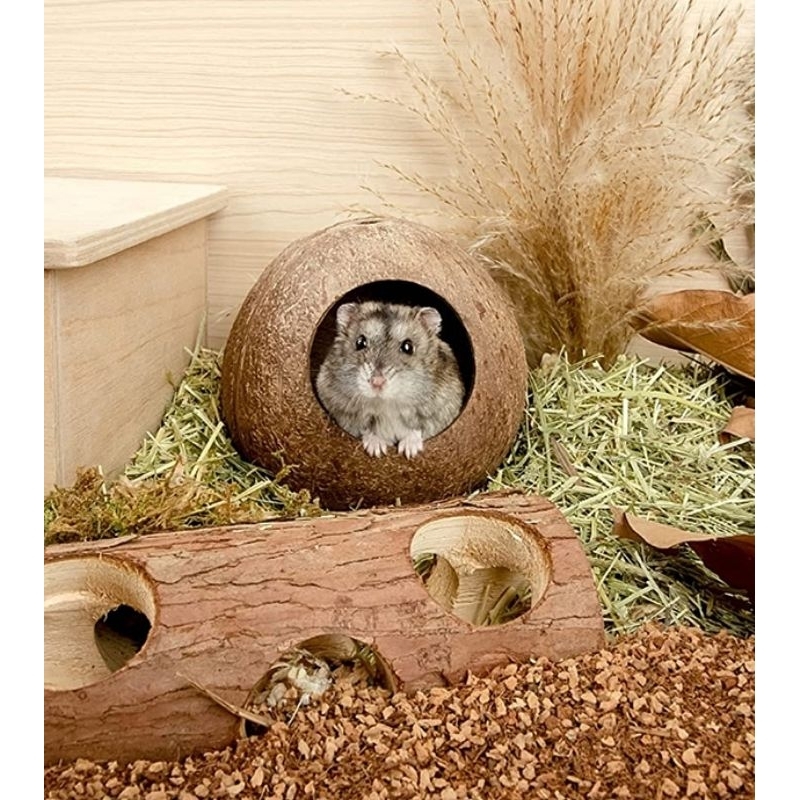(Ready Stock) Natural Coconut Shell/ Pets/Hamster/Bird/Sugar Glider ...