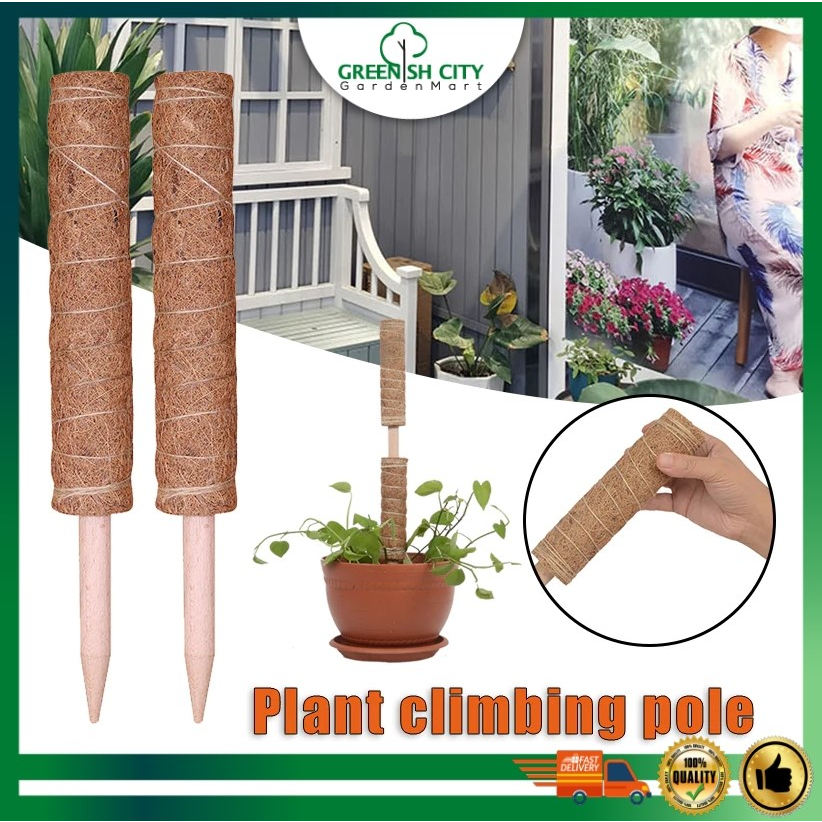 GNC Extendable Coco Stick Coco Fiber Pole Climbing Plant Support Batang ...
