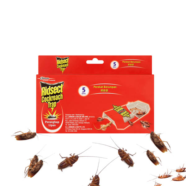 Ridsect Trap Roach 5 pcs | Shopee Malaysia