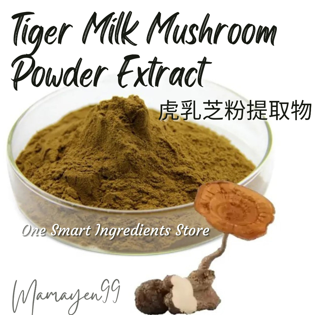 Tiger Milk Mushroom Extract powder | 虎乳芝粉末 / Cendawan Susu Harimau ...