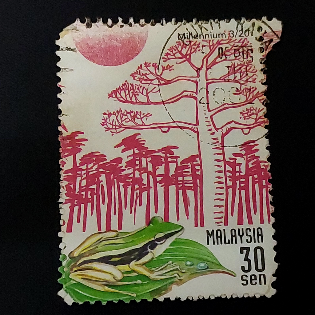 Millennium (frog) Millennium (frog)Millennium (frog) | Shopee Malaysia