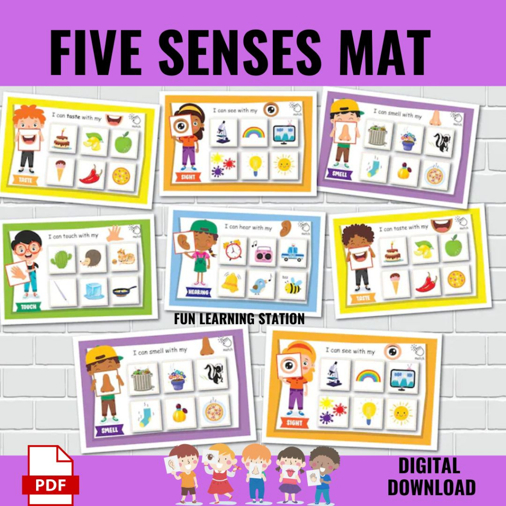 500 (PDF) Five senses sorting mat I Kids Home learning activity ...