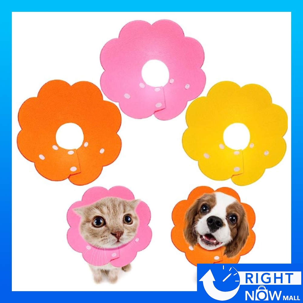 Pet Elizabeth Collar Anti-lick Ring Cat Neck Scratch Prevention E ...