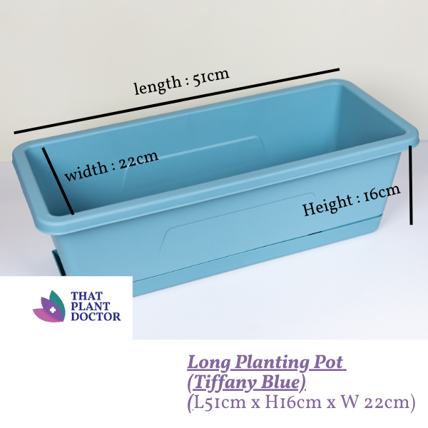 Long Planting Pot (Tiffany Blue) | Shopee Malaysia