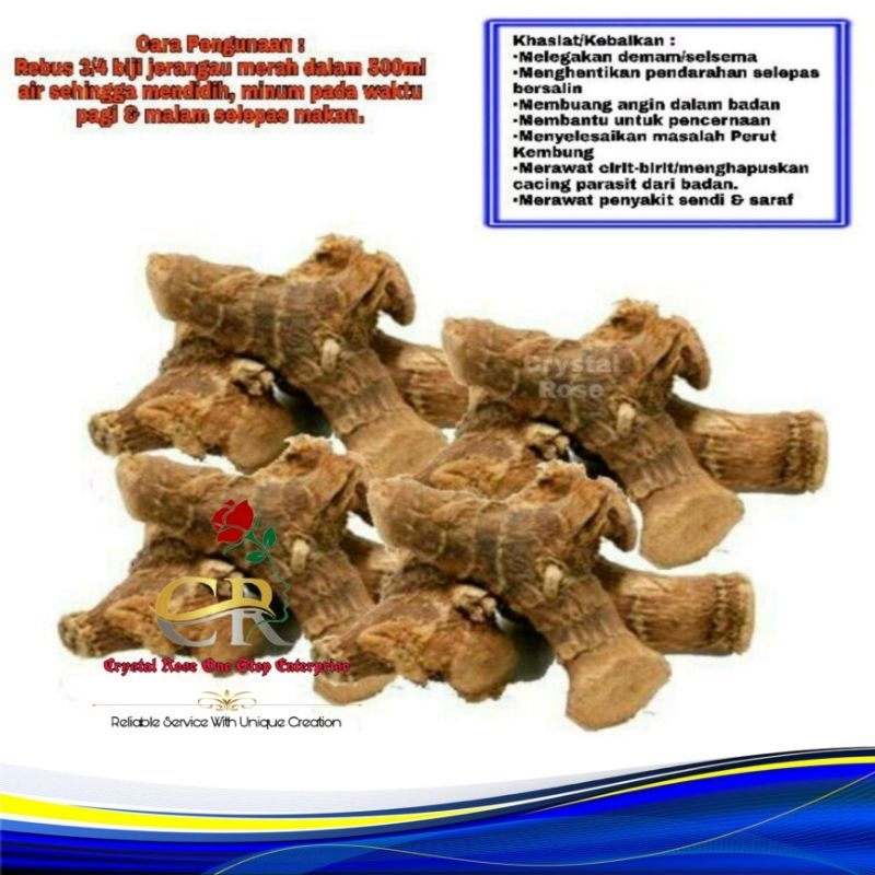 India Organics Chitharathai/Jerangau Merah/Alpinia Officinarum/Herbals ...