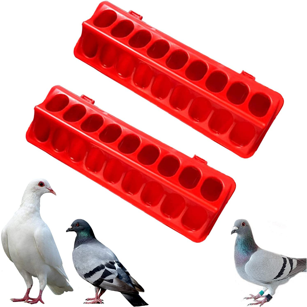18 Holes Bekas makanan anak ayam puyuh Bekas makanan burung Poultry ... 18 Holes Bekas makanan anak ayam puyuh Bekas makanan burung Poultry ...