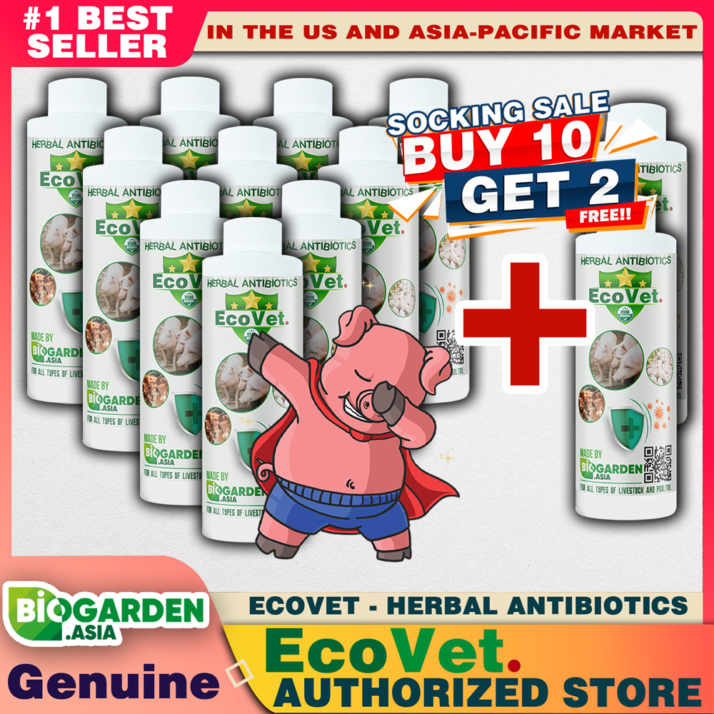 HOT COMBO BUY 10 GET 2 FREE Ecovet - Probiotic Supplement Powder ...