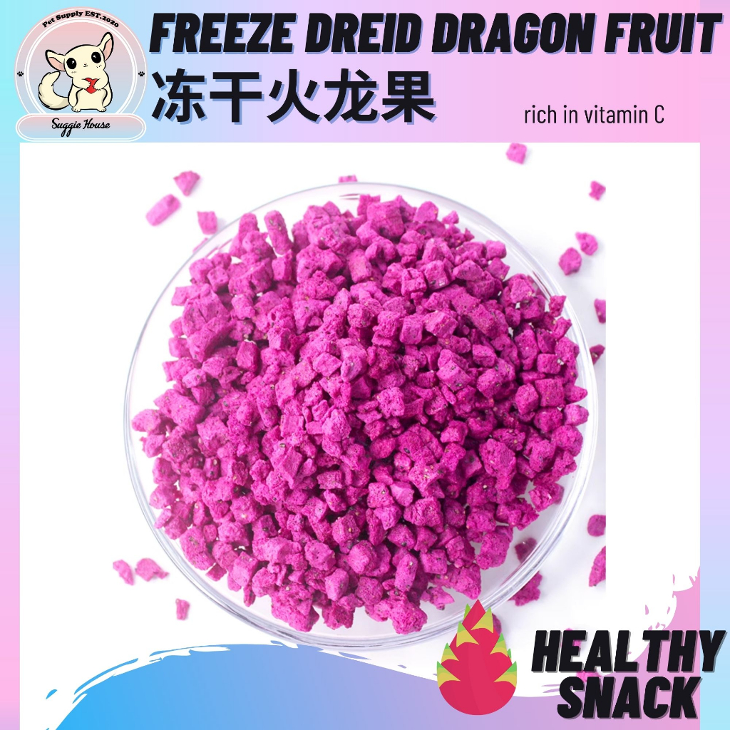 Freeze Dried Dragon fruit Pet Food Snack Treats cat dog sugar glider ...