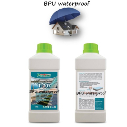 PENTENS T-007 Cement Modifier Waterproofing Primer 1KG ( T200 ...