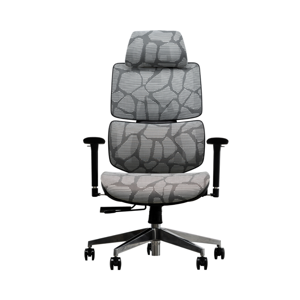 EVIS Ergonomic Chair Mesh Material Ultimate Breathable Comfort ErgoX ...