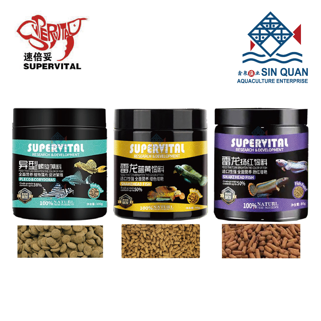 100%Original SUPERVITAL SNAKEHEAD YELLOW AND BLUE FISH PLECO ...