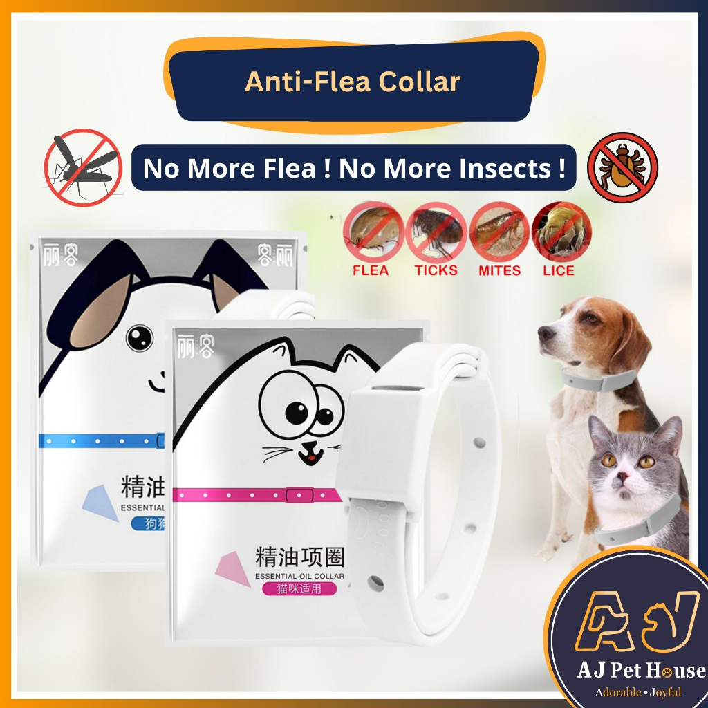 Pet Cat Dog Anti Flea Ticks Removal Collar Neck Leash Harness Rantai ...