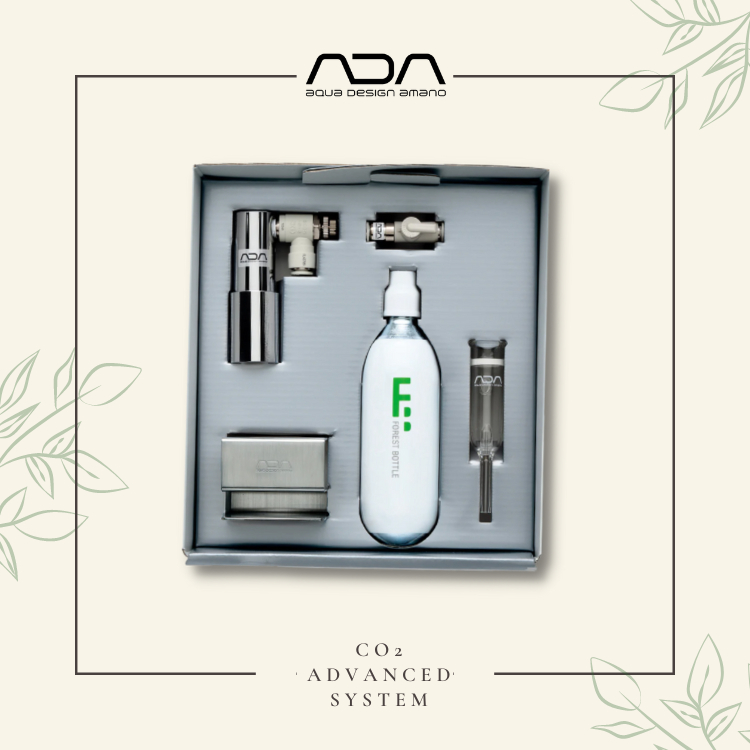 ADA CO2 Advanced System - Forest (Nano Complete CO2 Set) | Shopee Malaysia
