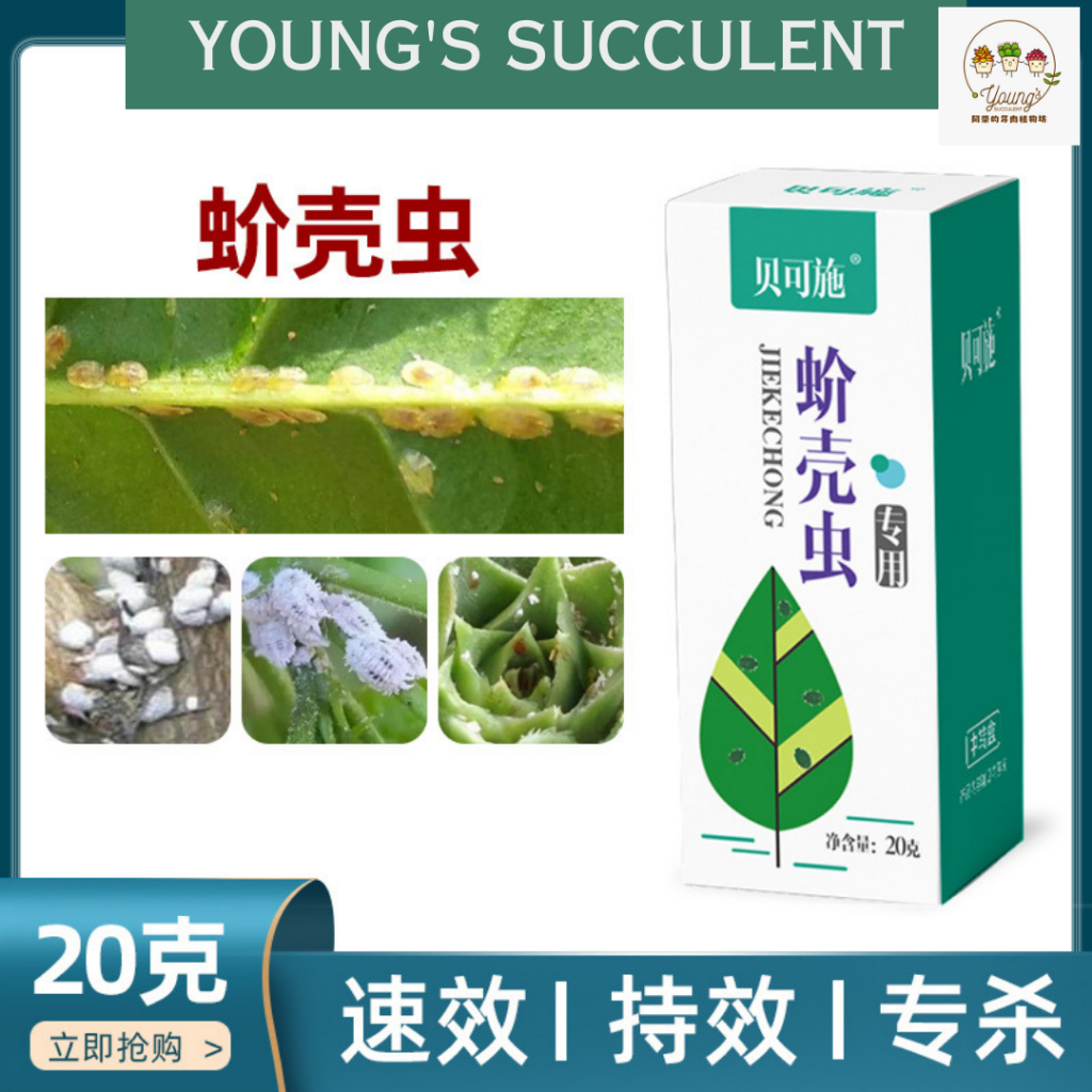 贝可施 蚧壳虫专用 (20g) BEIKESHI SCALE INSECTS REPELLENT | Shopee Malaysia