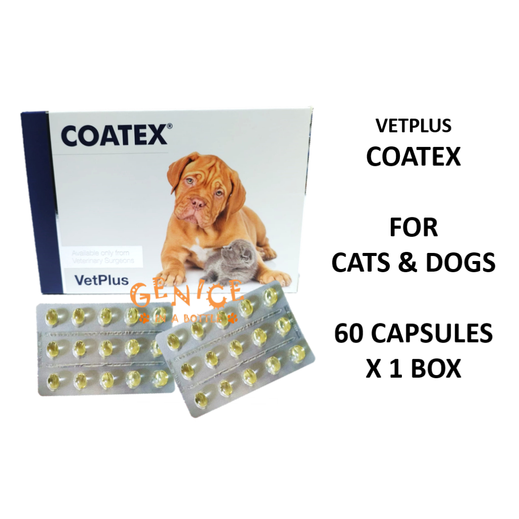 (EXP: 02/2026) COATEX /Skin Supplement for Pets (60 capsules) | Shopee ...