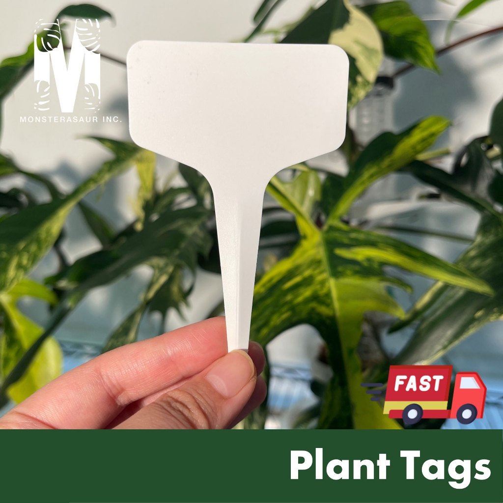 Label Pokok Tanda Nama Plant Tag Name Tag for Plants, Plant Label ...