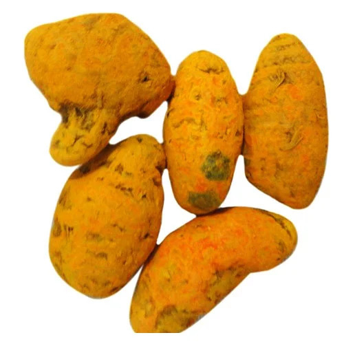 LMU - Forestree Kudamanjal, Round turmeric, Unda manjal, Poosu manjal ...