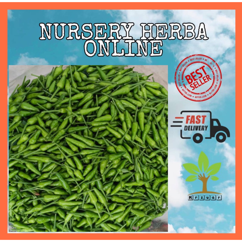 cili padi centil 200g | Shopee Malaysia