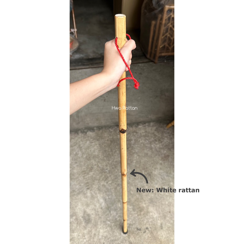 [48 inch] Mountain climbing stick / Rattan hiking stick / Jogging stick ...