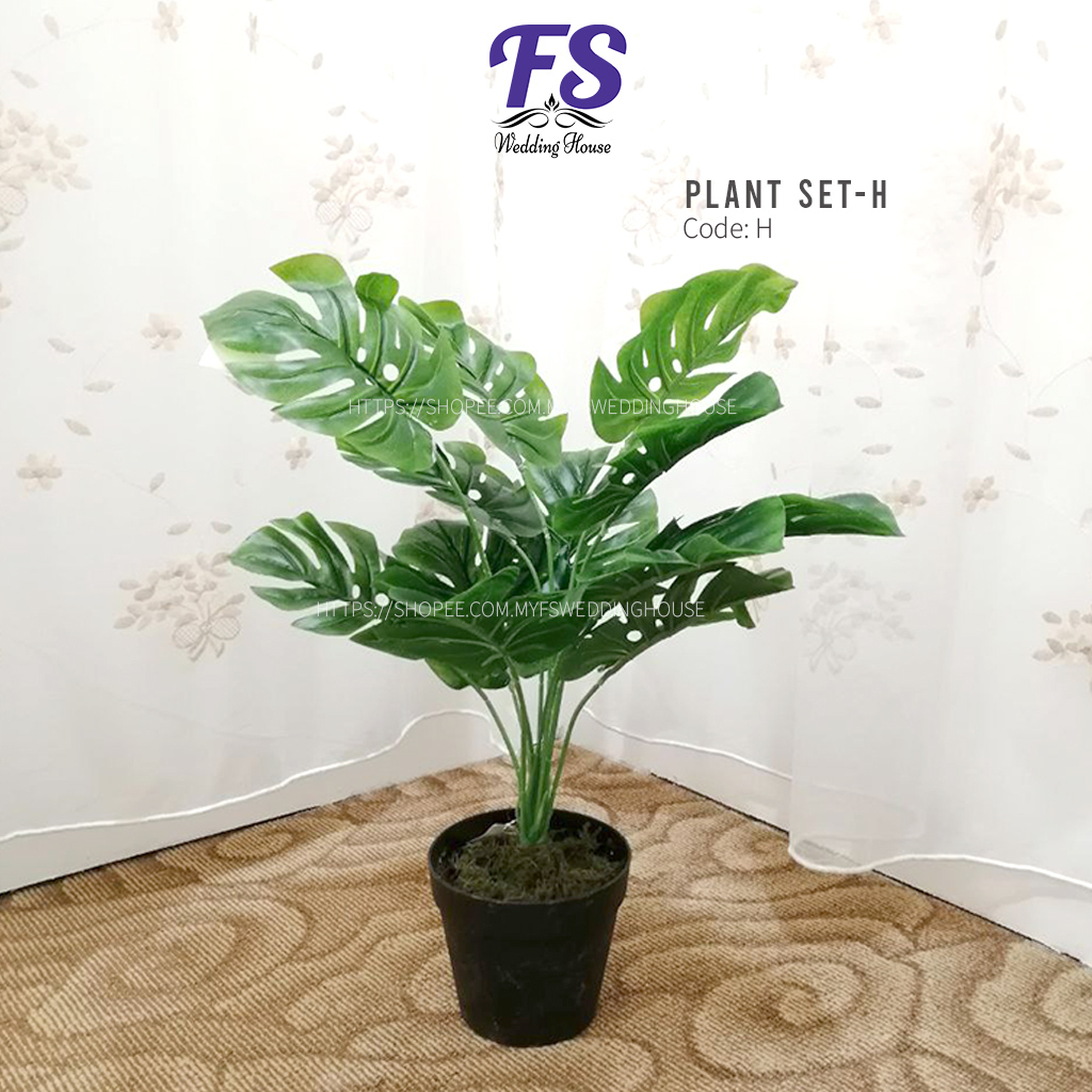 RAYA SALES / ARTIFICIAL PLANT / PELBAGAI JENIS POKOK VIRAL / HOT POKOK ...
