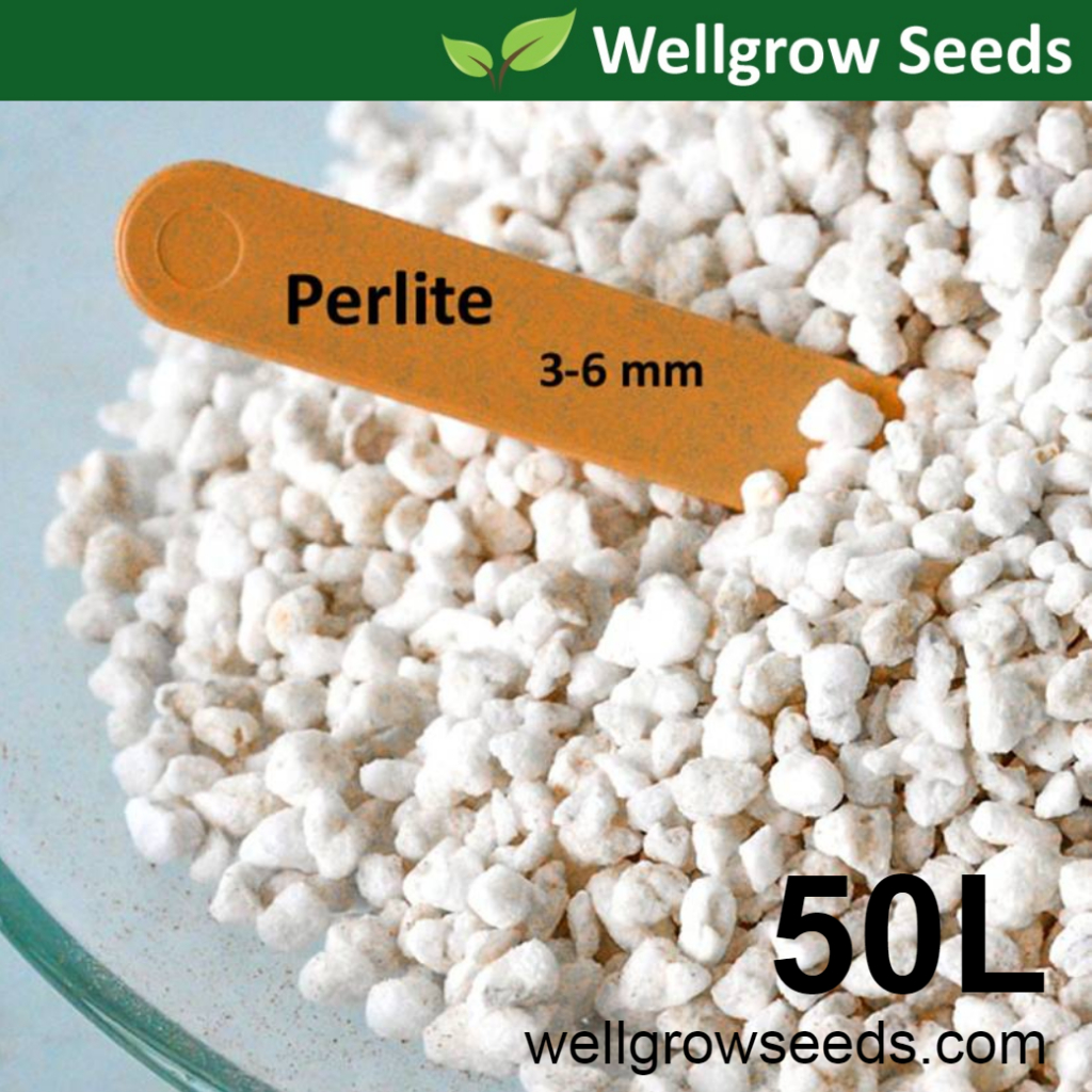 50L Perlite Assorted 珍珠岩 For Cactus & Succulents (Natural Expanded ...