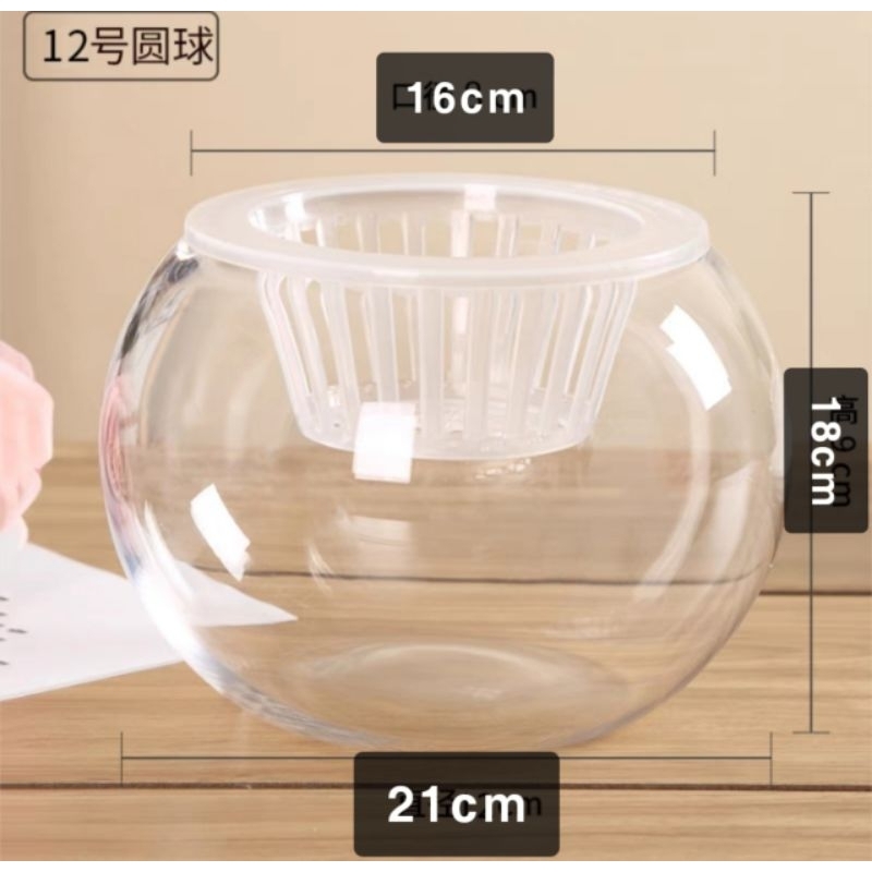 Pasu Bunga Plastik 🌳 Transparent Plastic Pot / Self Watering Pot ...