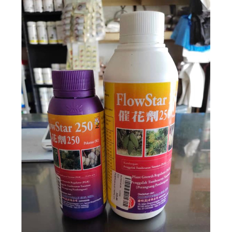 Original FlowStar 250 / Paclobutrazol 25% / Penggalak Bunga Pelam ...