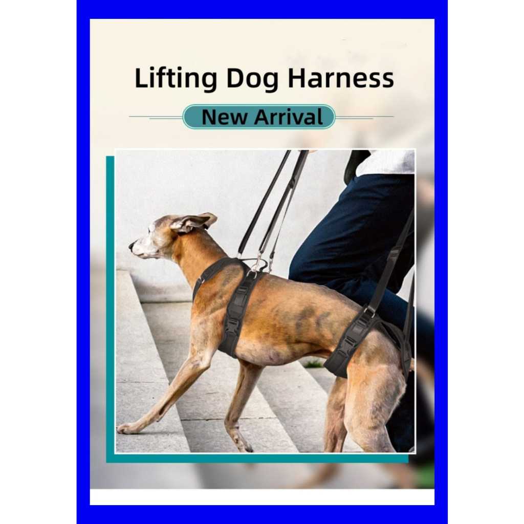 [Stock Ready] Lifting dog harness injuries Joint inflammation ageing ...