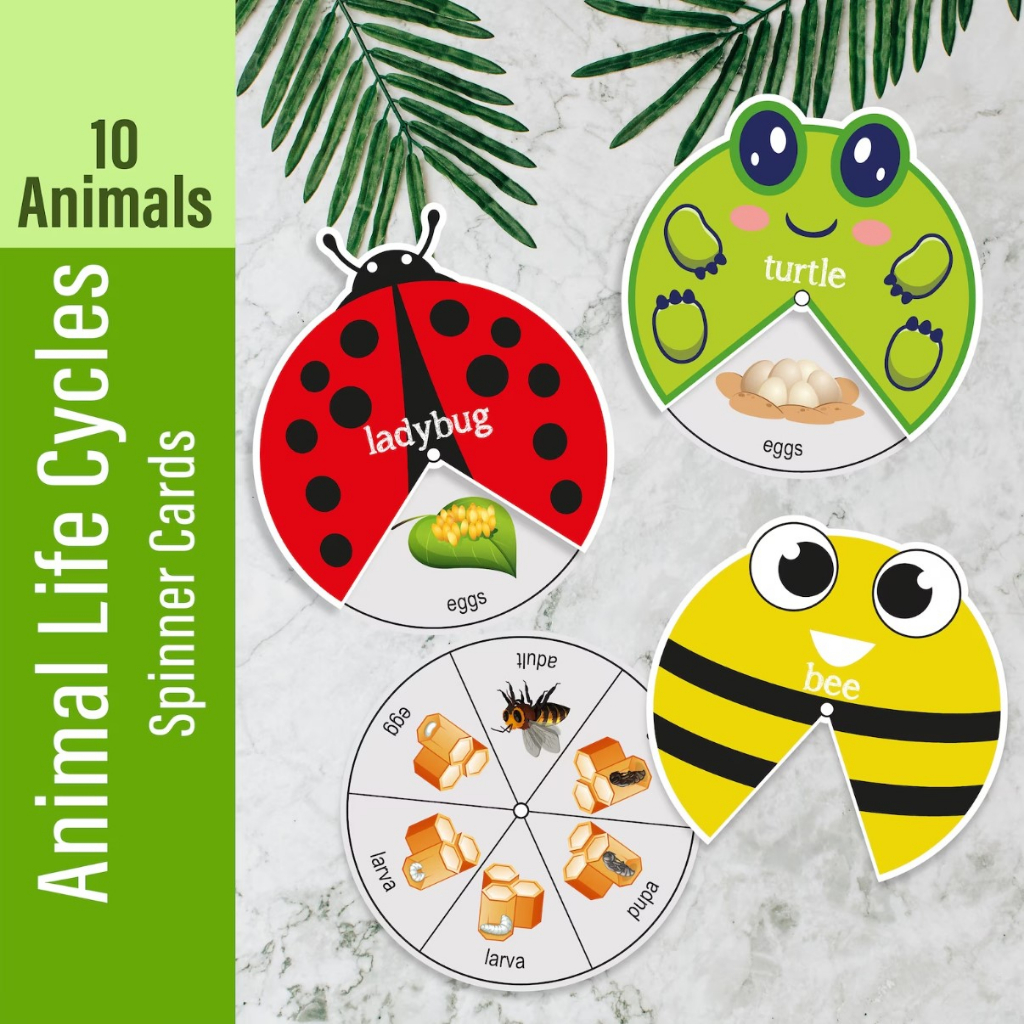 PDF] 026- Animal Life Cycle Spinner Card Printable Montessori Toddler ...