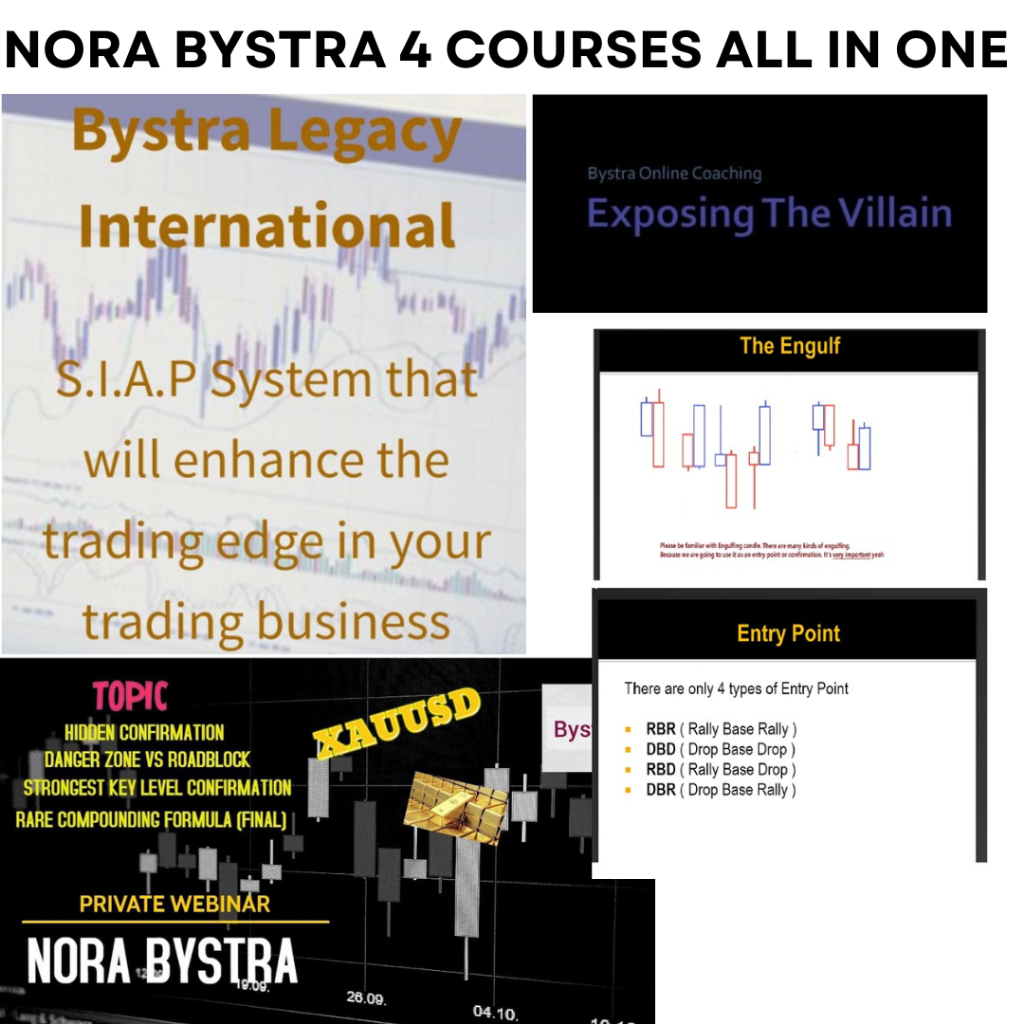 Nora Bystra - 4 Courses All IN ONE | Shopee Malaysia