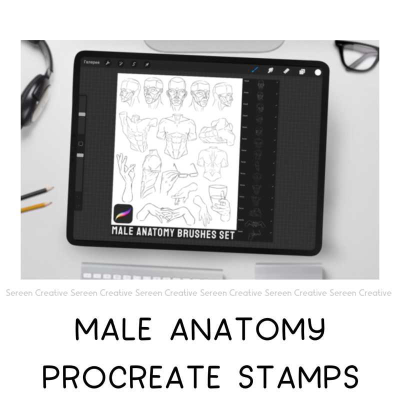 P476 Male Anatomy Brushes Set for Procreate (Men Body Figure, Head ...