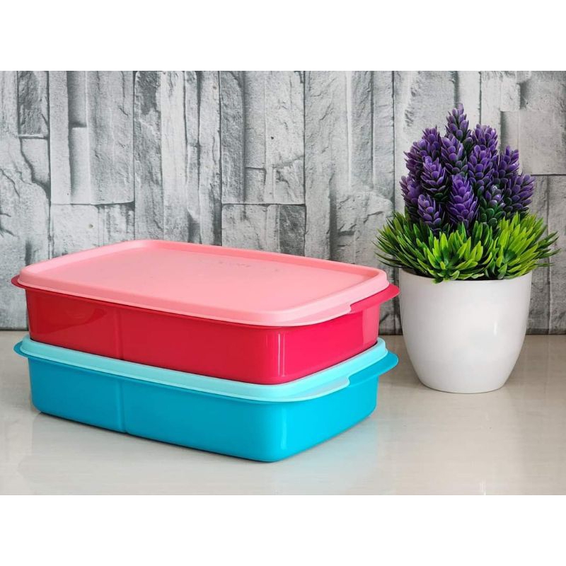 Bekas bekal suku-suku separuh Tupperware 1pc | Shopee Malaysia