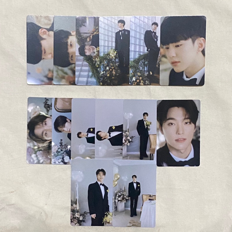 HOSHI DINO FML [Carat Ver.] Loose Photocard Booklet Collection ...
