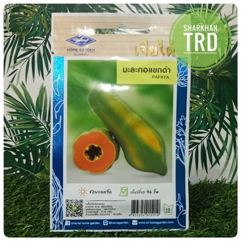 Paket 10 Biji (Seeds) PAPAYA Chia Tai Home Garden Biji Benih Betik ...