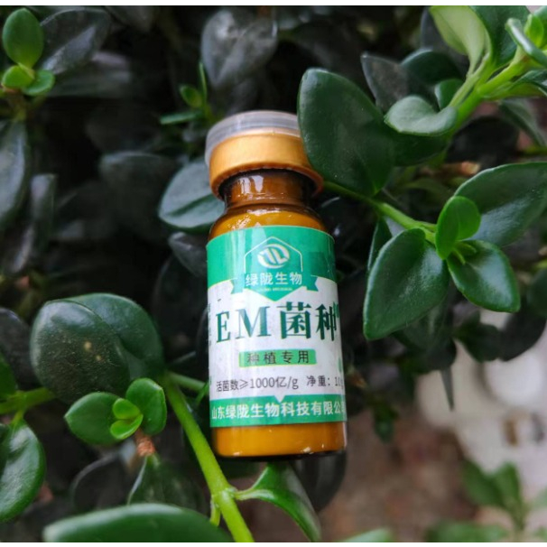 EM纯菌种 EM菌 种植专用 Effective Microorganism 10gm / EM LVLONG 100% PURE EM ...