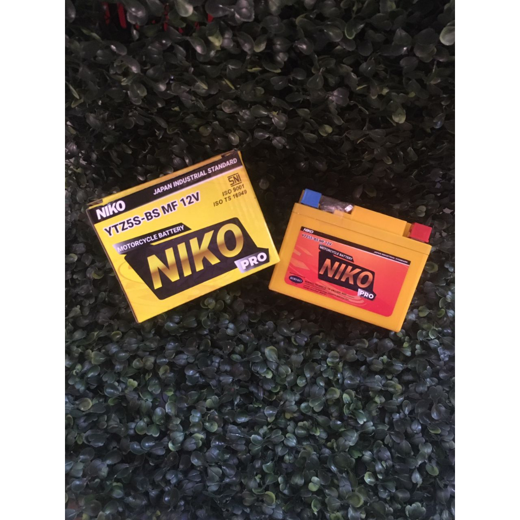 BATTERY NIKO YTZ5-BS FOR W125,W100,EGO S,EGO LC,EX5,DREAM,LCNEW,SRL115 ...