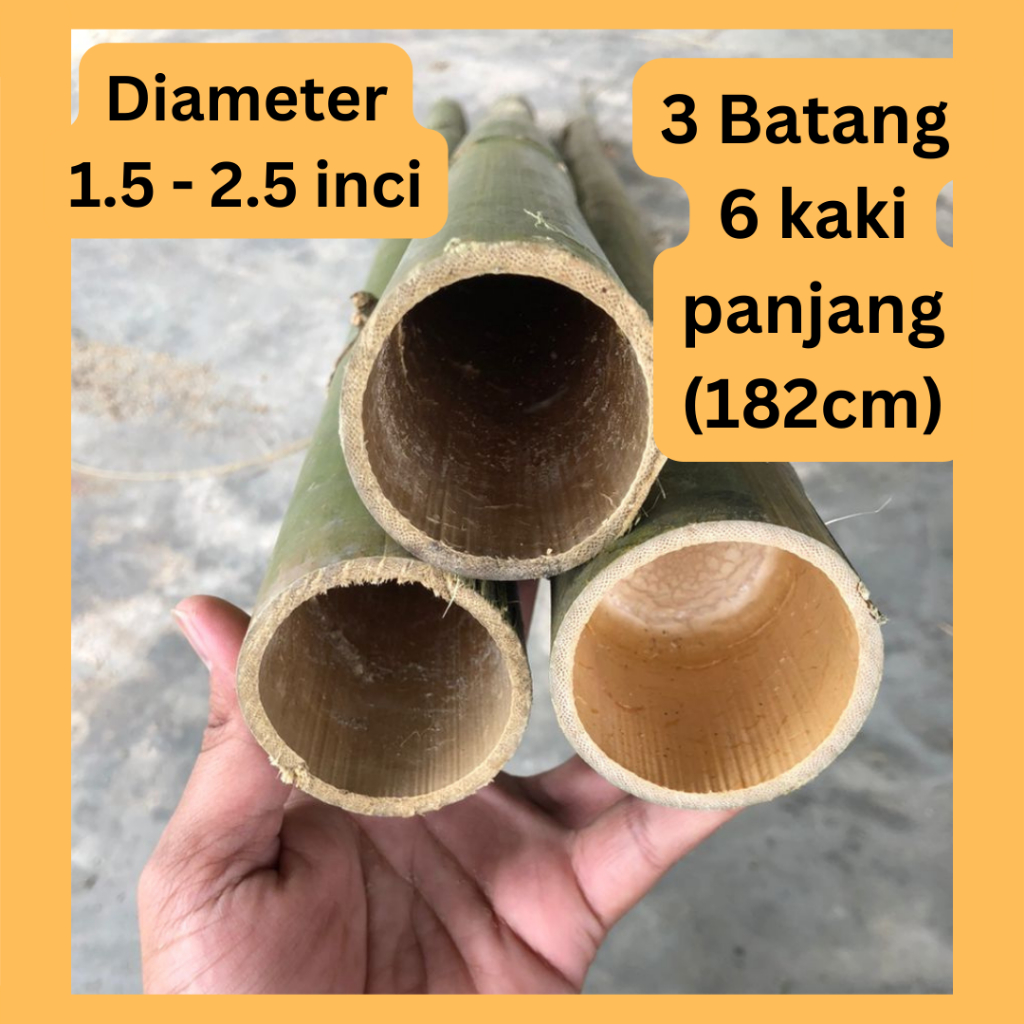 (1 set 3 batang) buluh pancang 6 kaki/buluh bulat belum belah/pancang ...