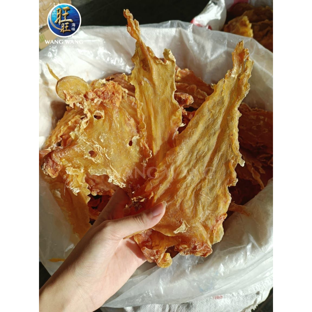 纽西兰鳕鱼鲛 New Zealand Cod Fish Maw [100G] | Shopee Malaysia