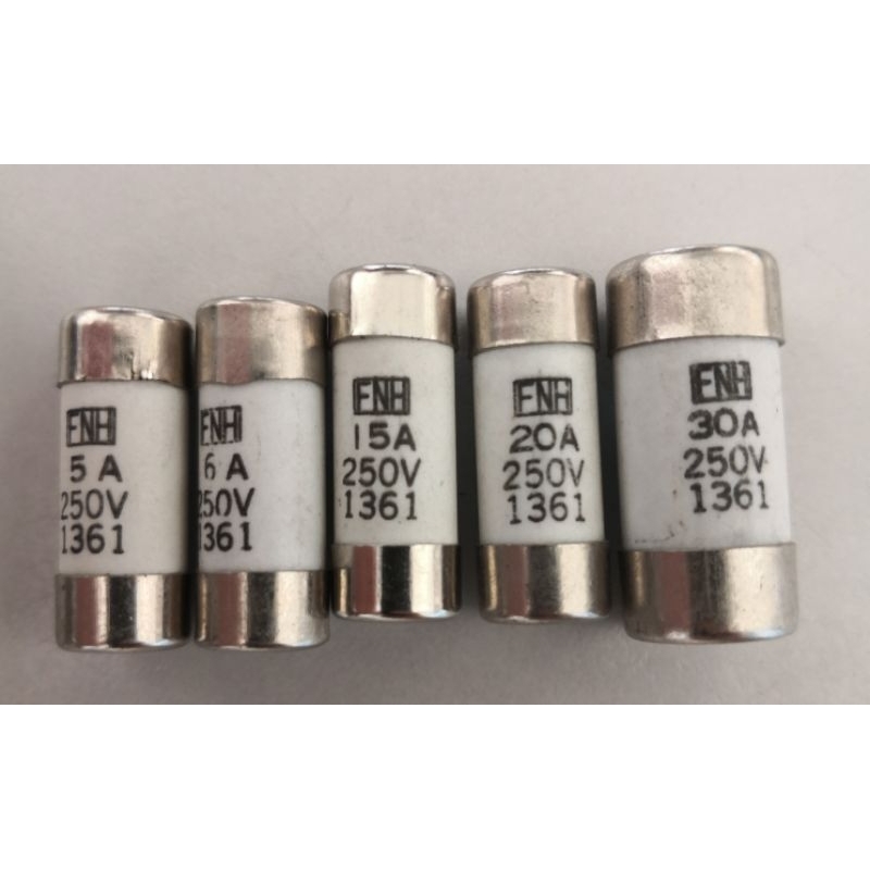 (5pcs) KS FUSE 5A,6A,15A,20A,30A 250V (1361) | Shopee Malaysia